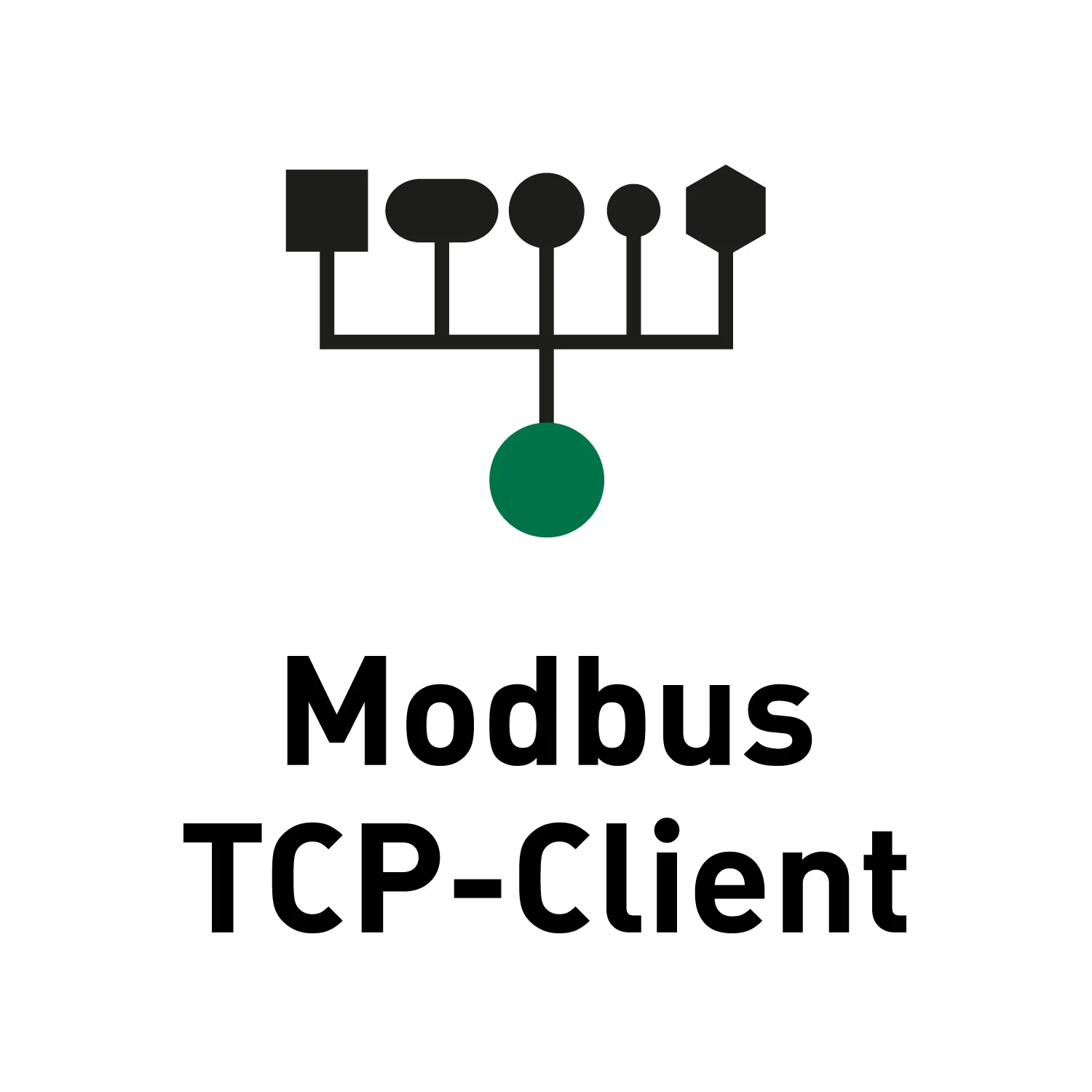 31.001022 ibaPDA Interface Modbus TCP Client - iba AG | ADEGIS