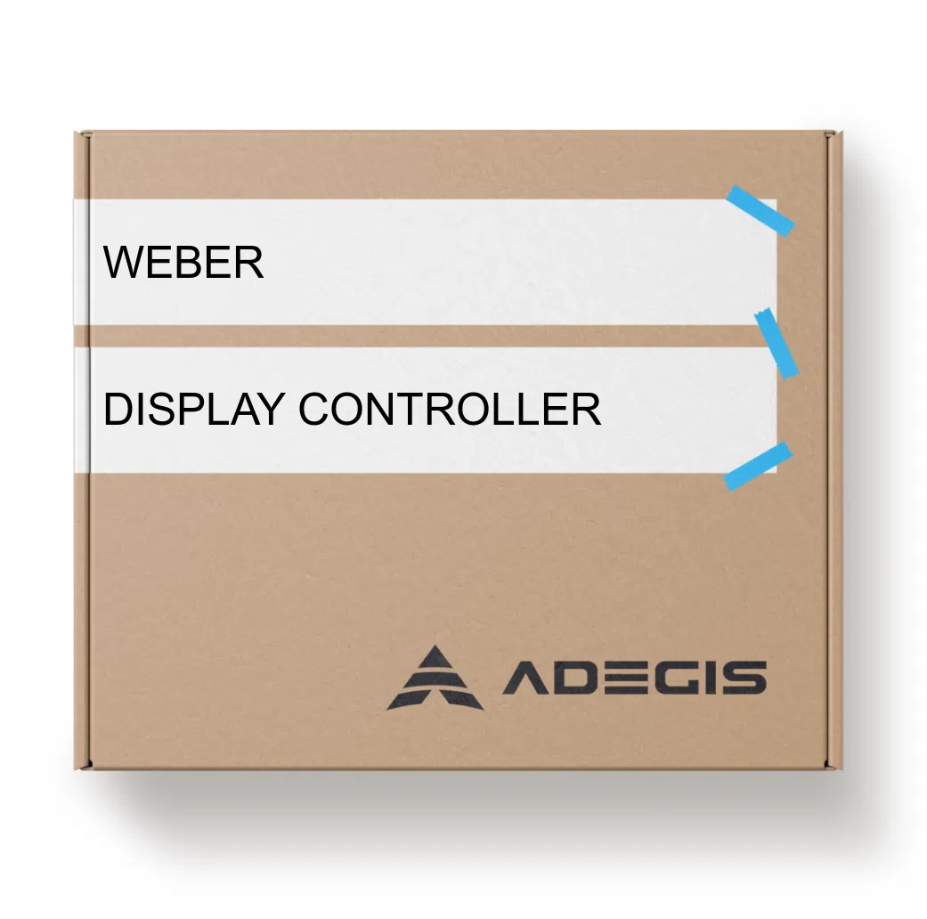 Order DISPLAY CONTROLLER WEBER | ADEGIS
